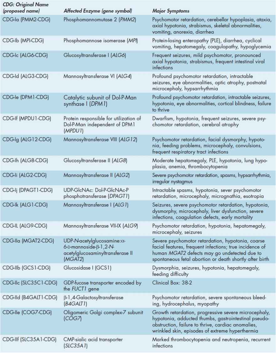 38 Glycoproteins | Basicmedical Key