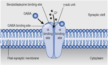 Insomnia Basicmedical Key