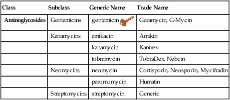 Aminoglycosides Basicmedical Key Aminoglycosides Basicmedical Key
