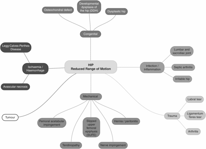 Examination Of The Hip Basicmedical Key