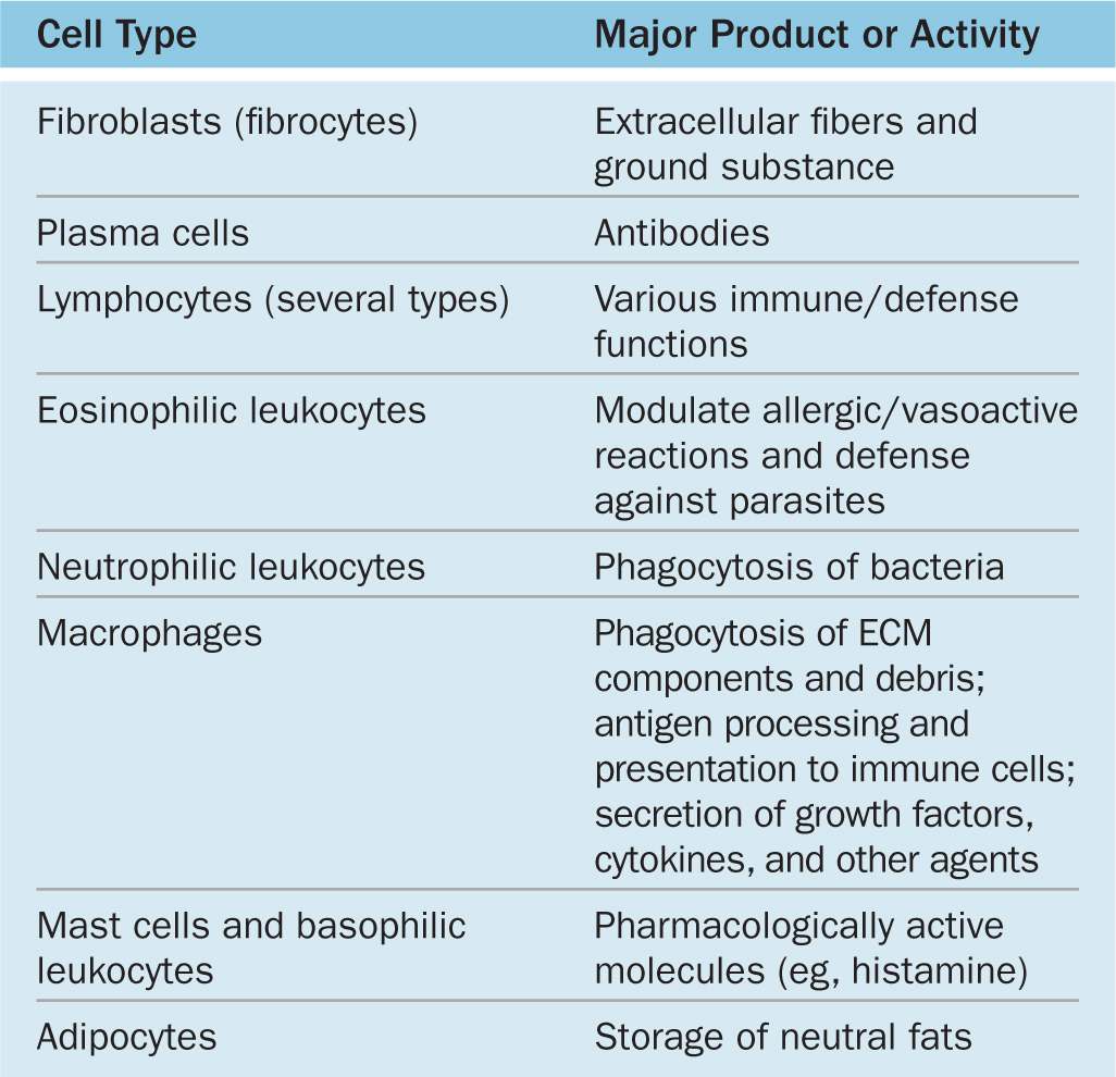 Connective Tissue Chart