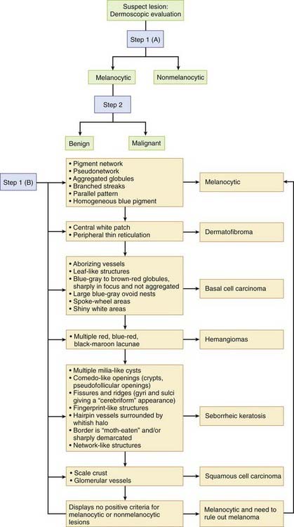Dermoscopy Basicmedical Key